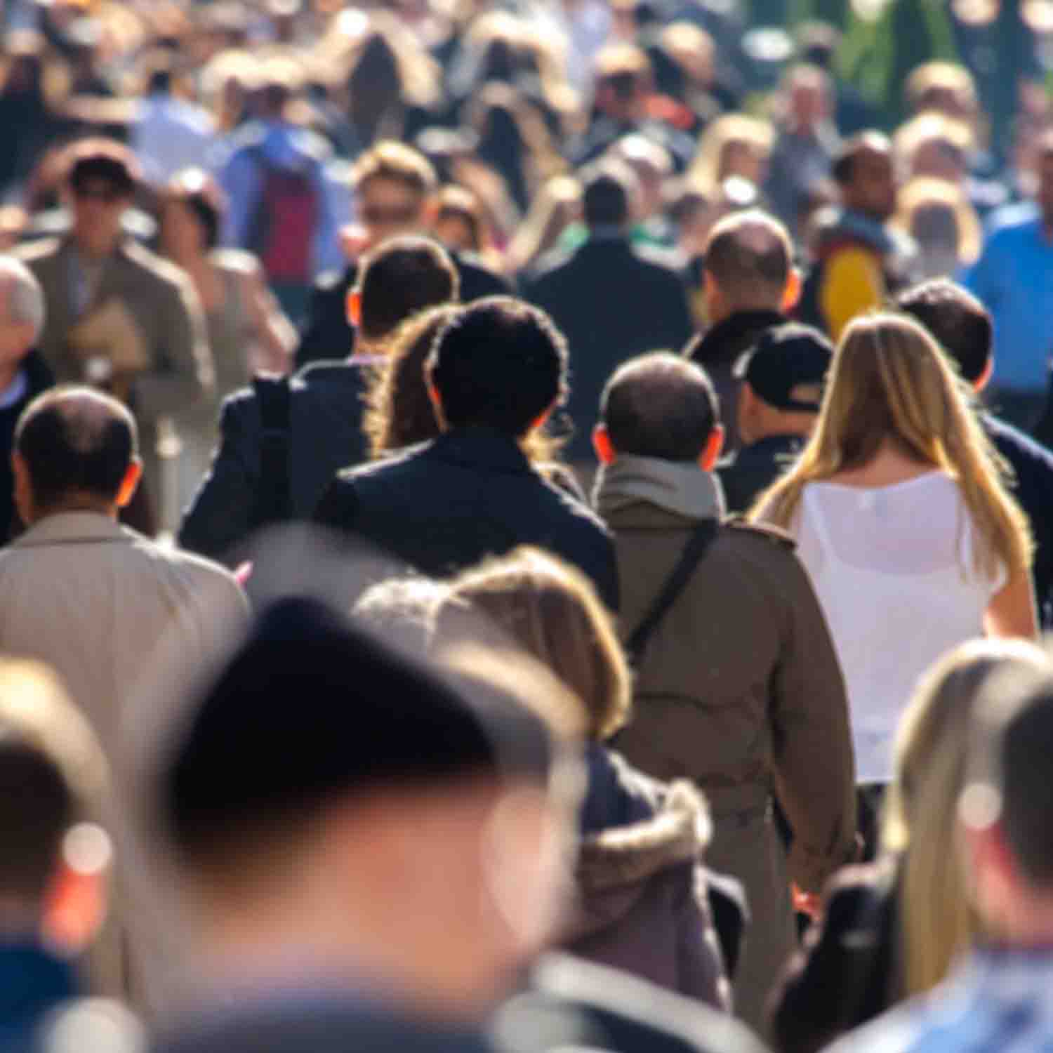 Data and Marketing Specialists - Impact Marketing Global